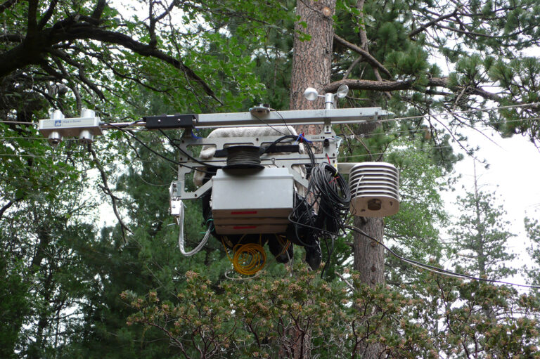 Smart Forests | Jennifer Gabrys