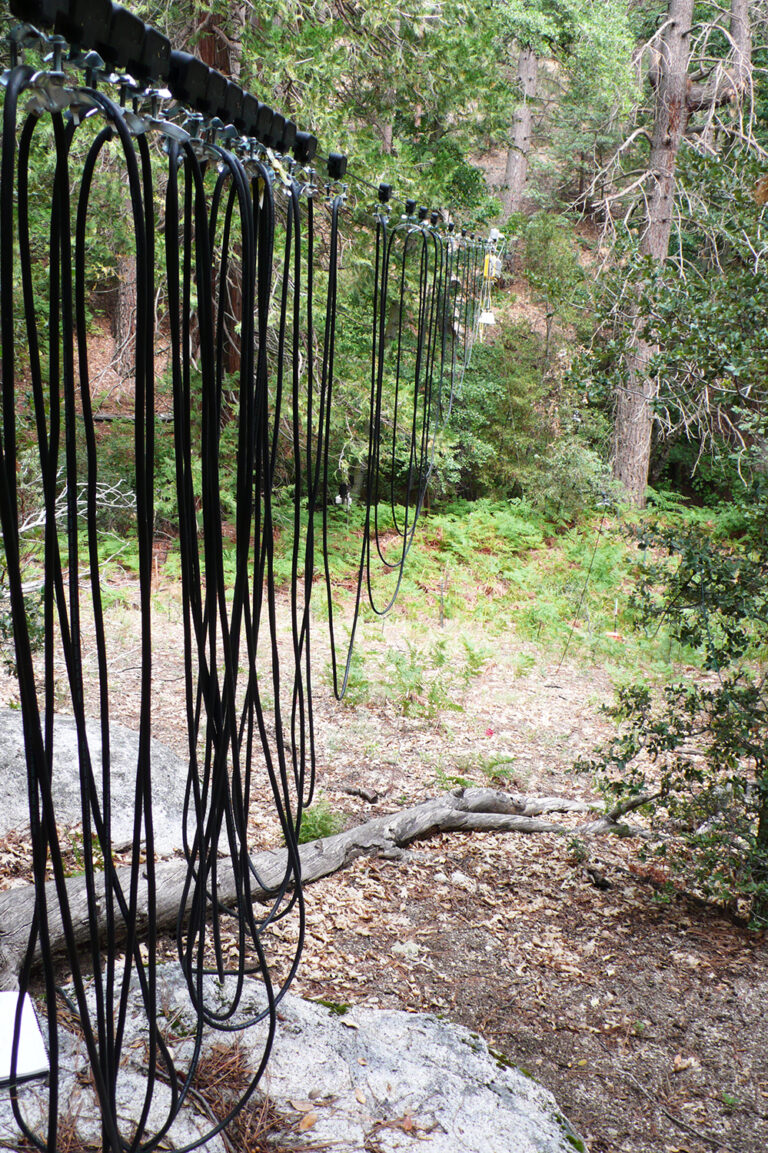 Smart Forests | Jennifer Gabrys